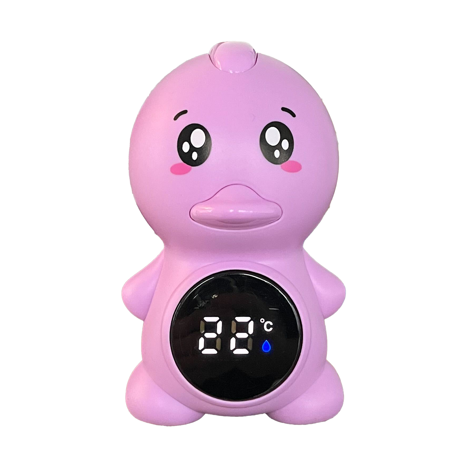 Cold Plunge Floating Water Temperature Thermometer – Calore
